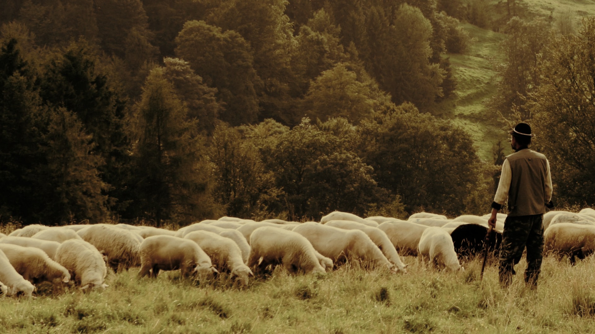 Is Jesus the Way? Understanding the Exclusive Claim of John 14:6